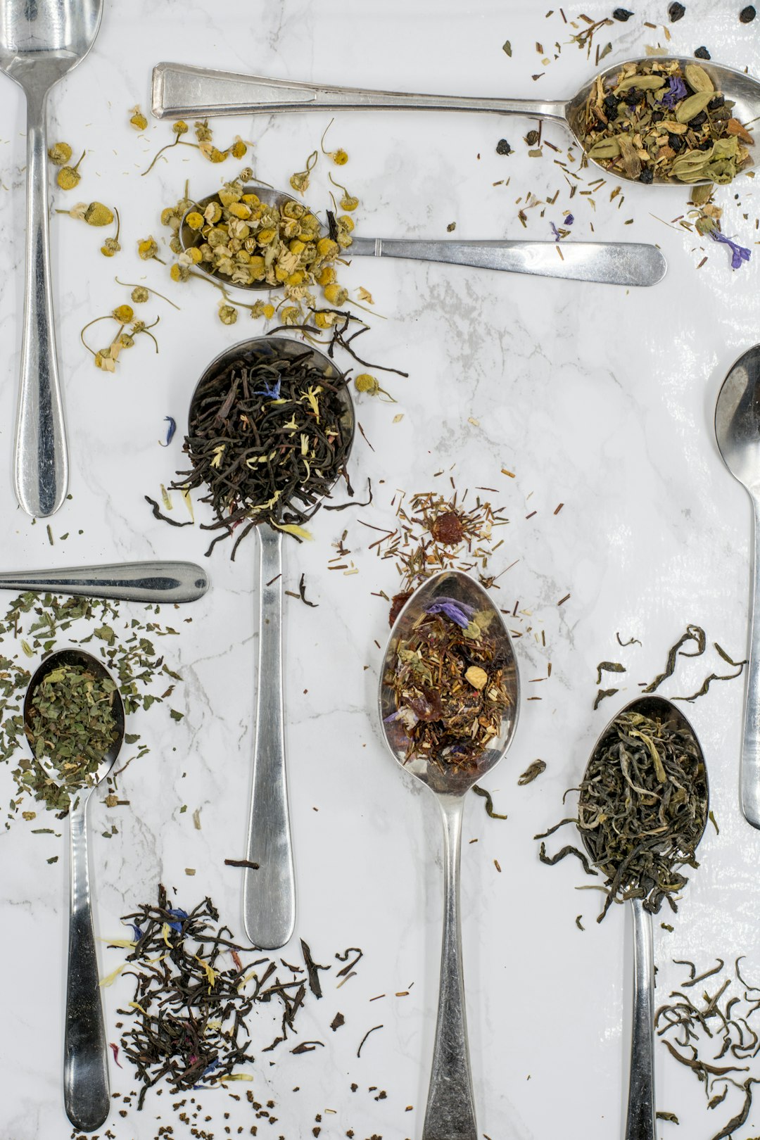 What Is the Only State in the US That Grows Tea? 🌿 (2026) - Growing Teas