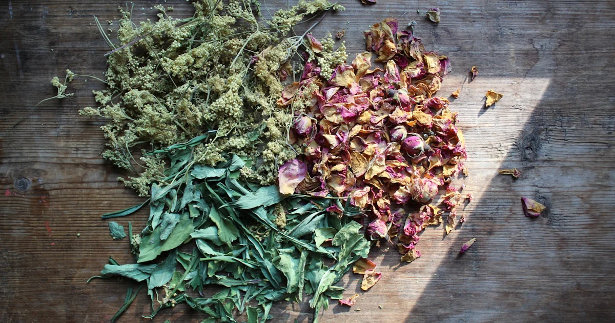 47 Must-Try Herbs for Tea: The Ultimate List to Brew 🌿 (2026) - Growing ...